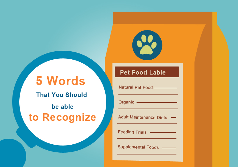 5 Things That You Should Be Able To Recognize On Pet Food Labels ...